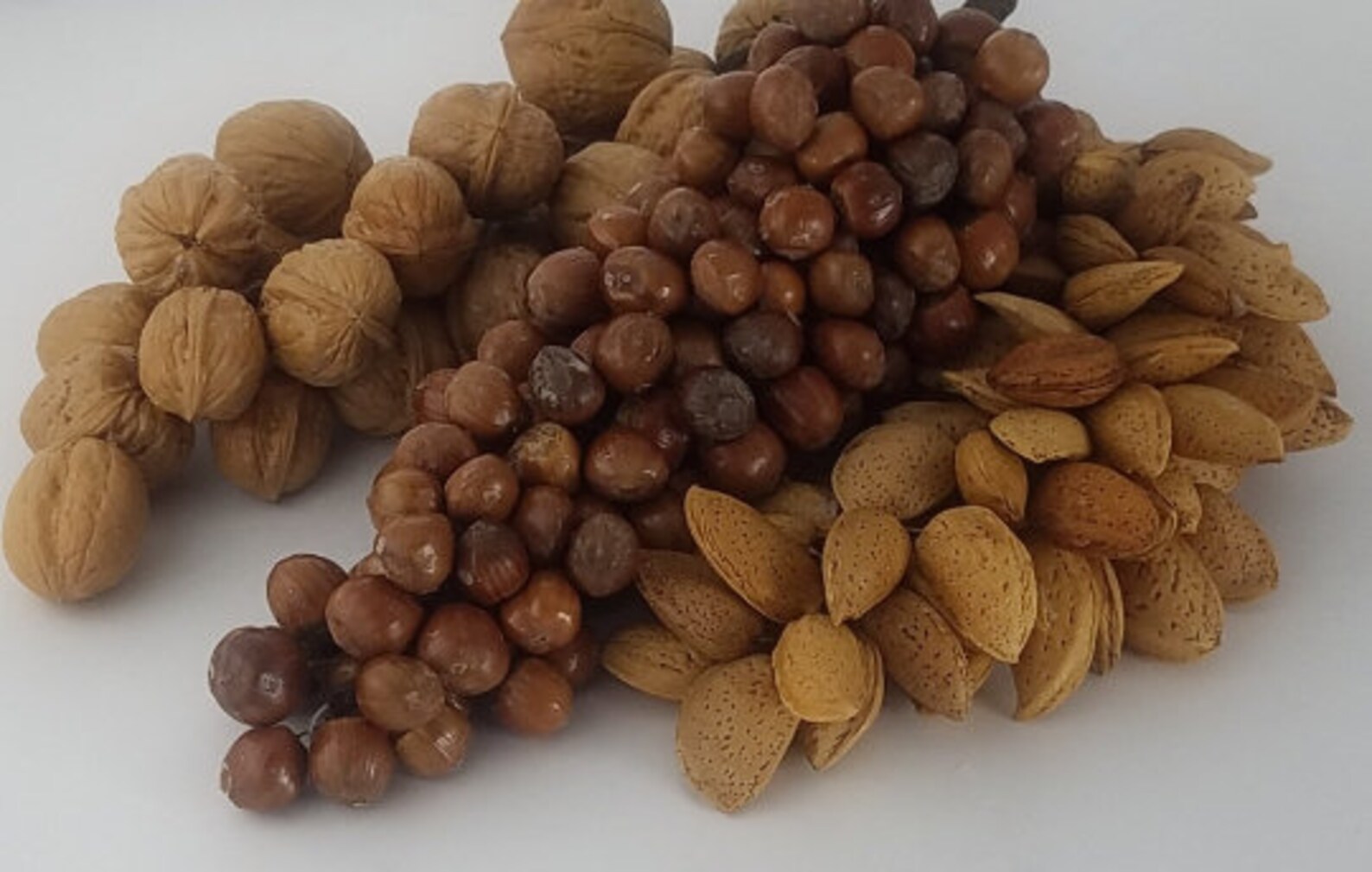 Sofreh Aghd Almond, Walnut, Hazelnut With Esphand Flower for Persian ...