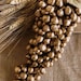 Hazelnut Cluster for Sofreh Aghd Persian Wedding Aroosi - Etsy