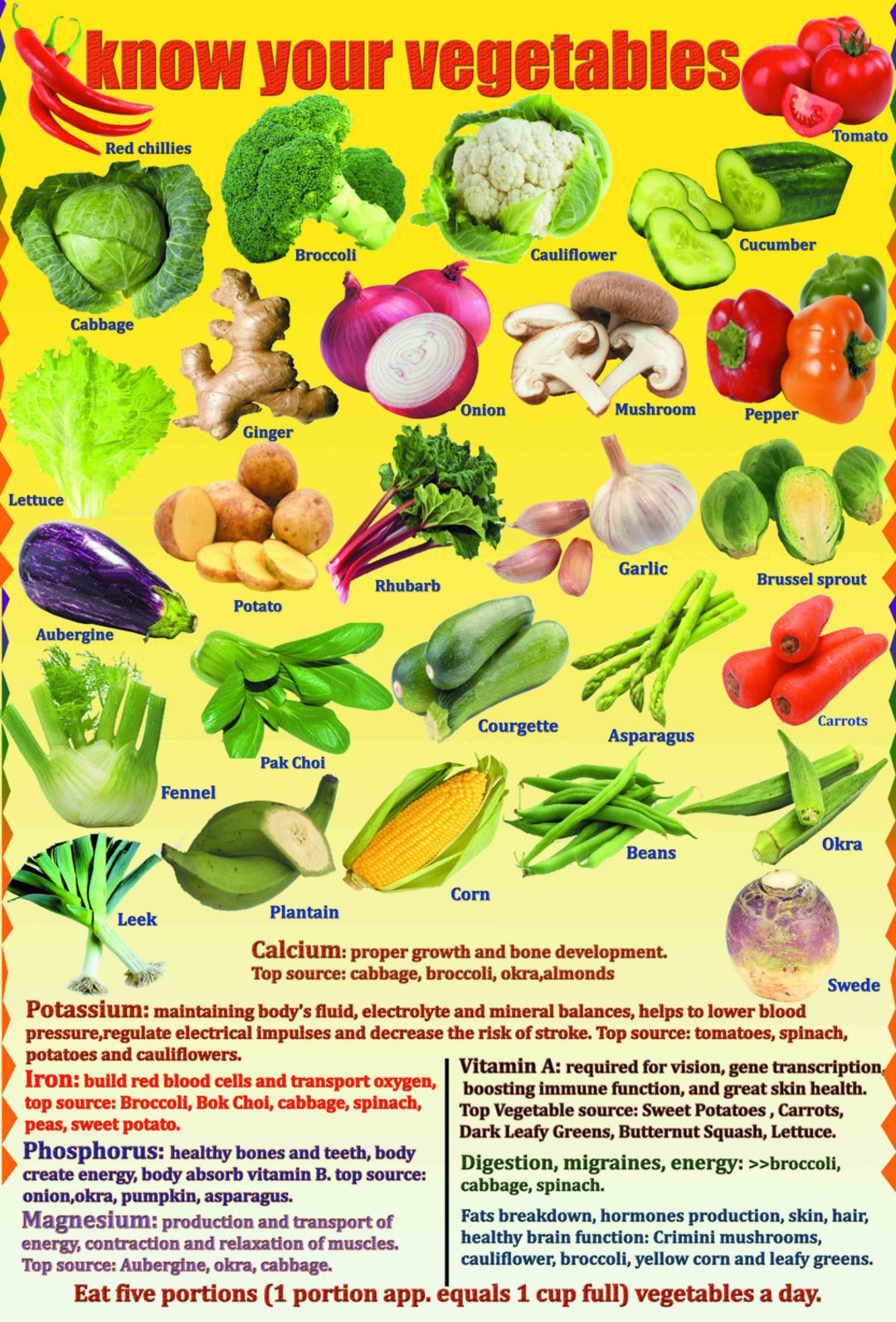 Laminated Know Your VEGETABLES Learning Kids Educational / Kitchen ...