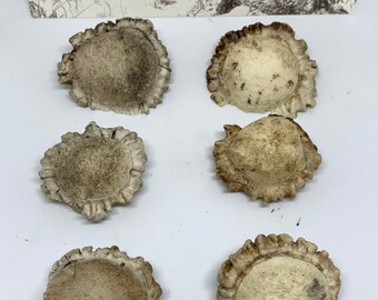Deer Antler Burrs - Etsy