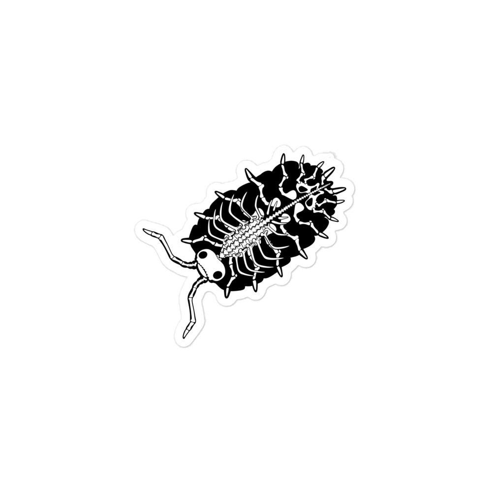 Sticker - Super Accurate Isopod Skeleton - Etsy