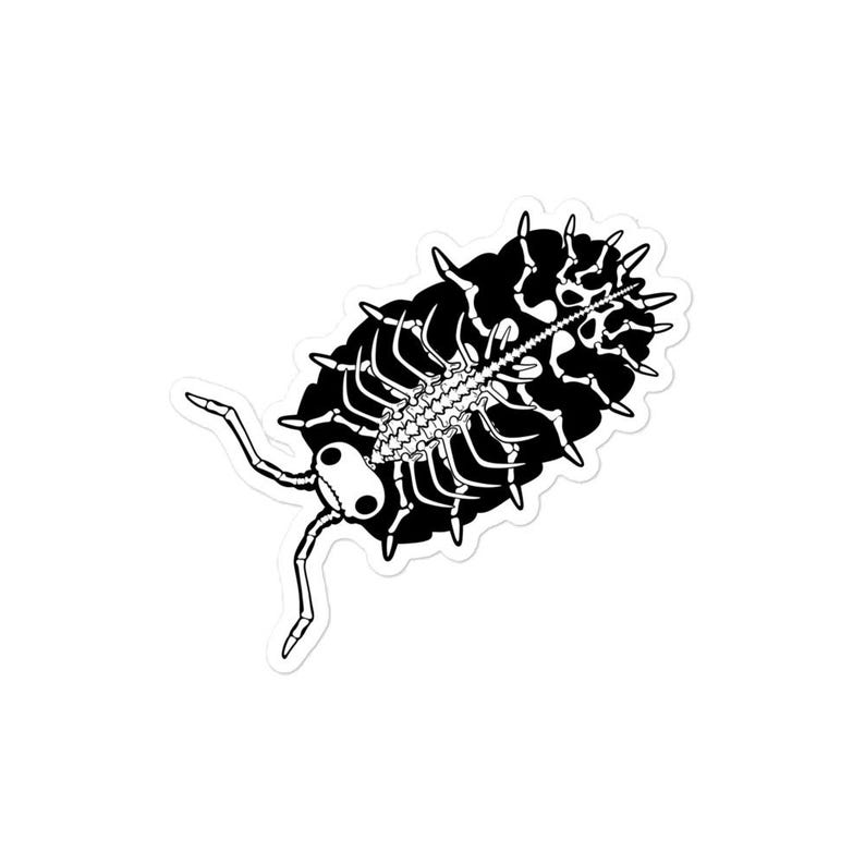 Sticker - Super Accurate Isopod Skeleton - Etsy