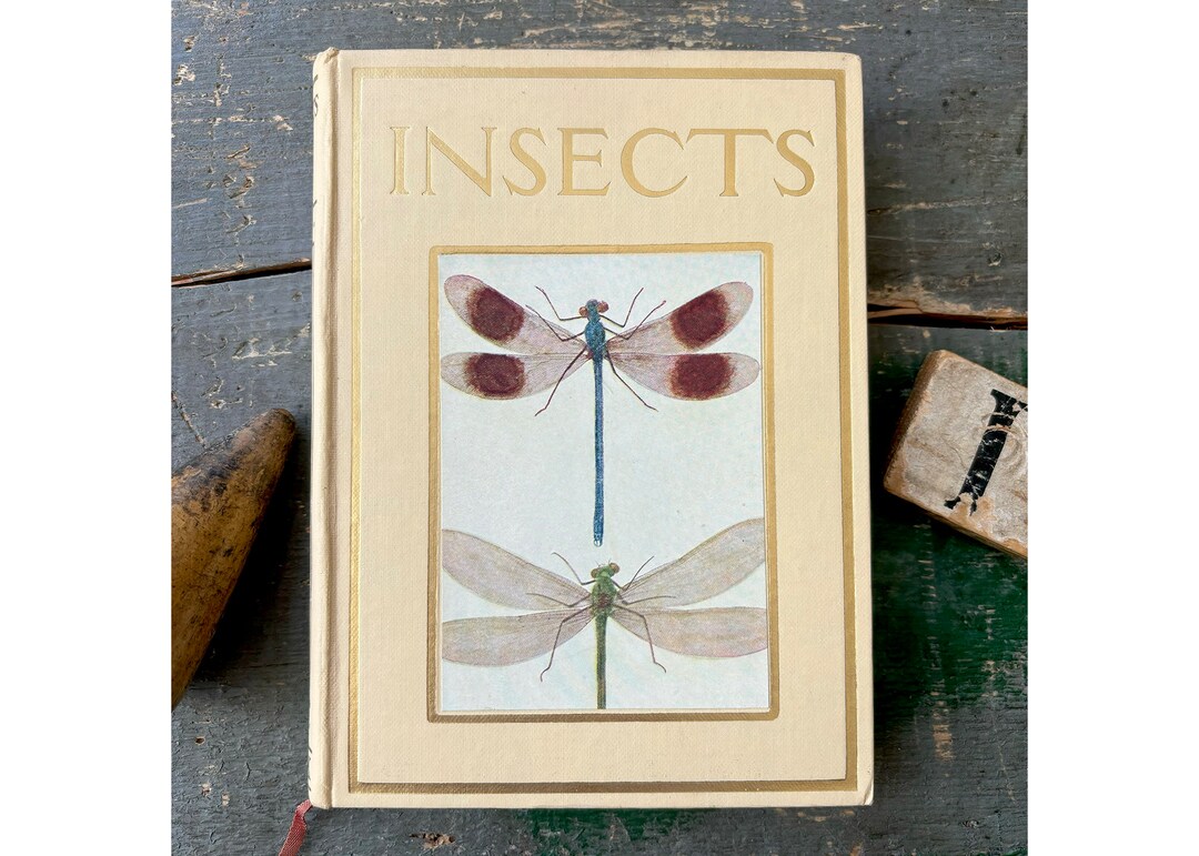 Insects Shown to the Children, Vintage Hardback Book With Dust Jacket ...