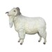 Male Tibetan Sheep Life Size Statue - Etsy