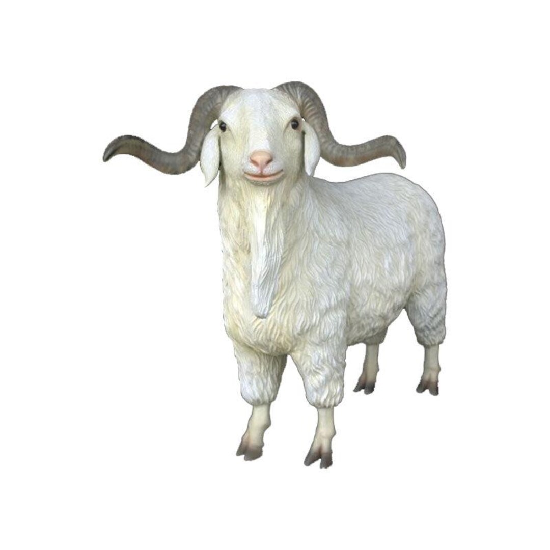 Male Tibetan Sheep Life Size Statue - Etsy