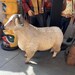 Male Tibetan Sheep Life Size Statue - Etsy