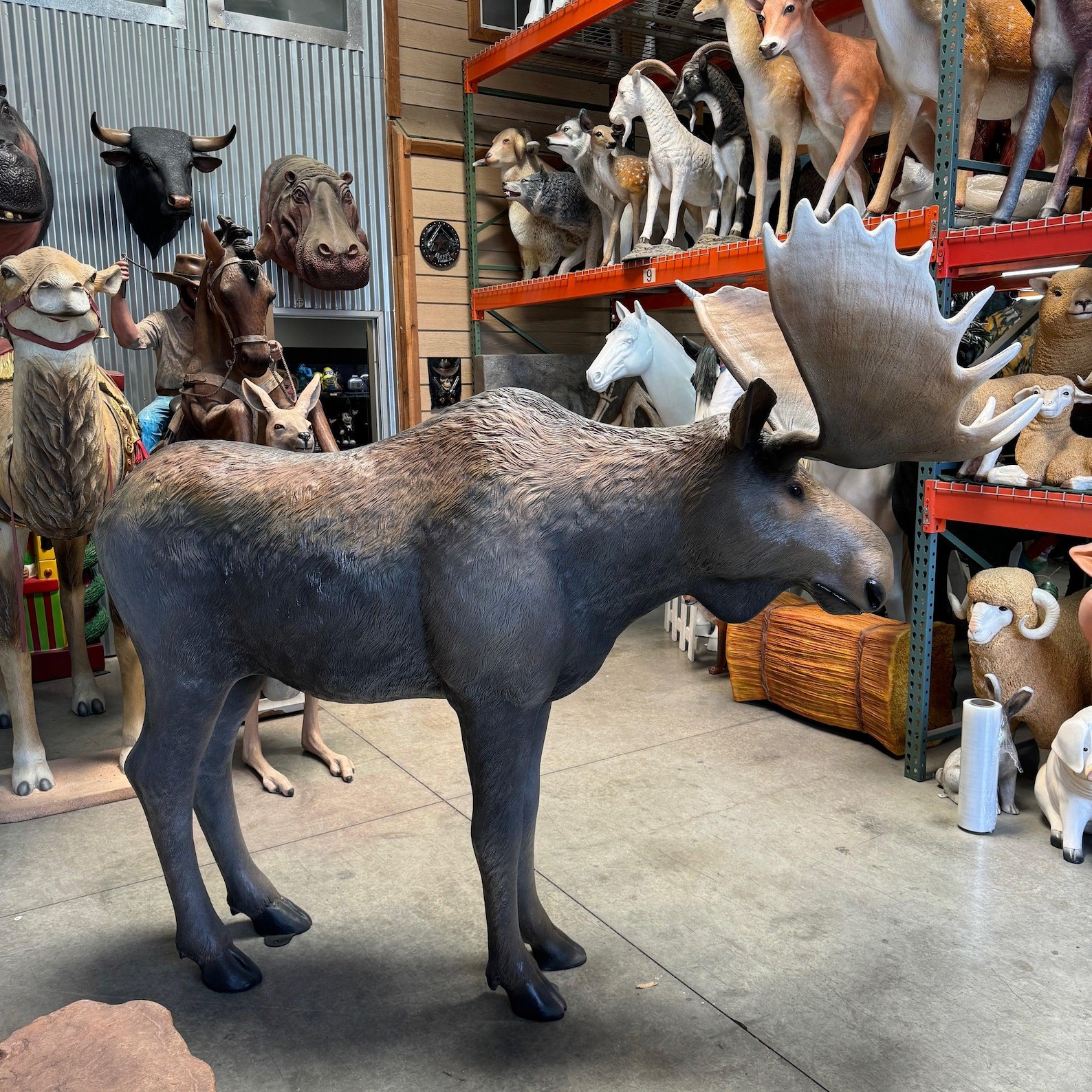 North American Moose Life Size Statue - Etsy