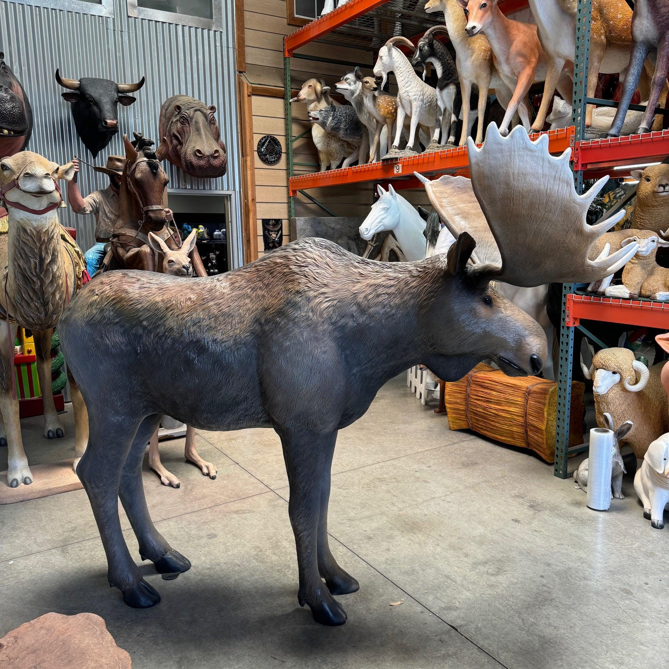 North American Moose Life Size Statue - Etsy