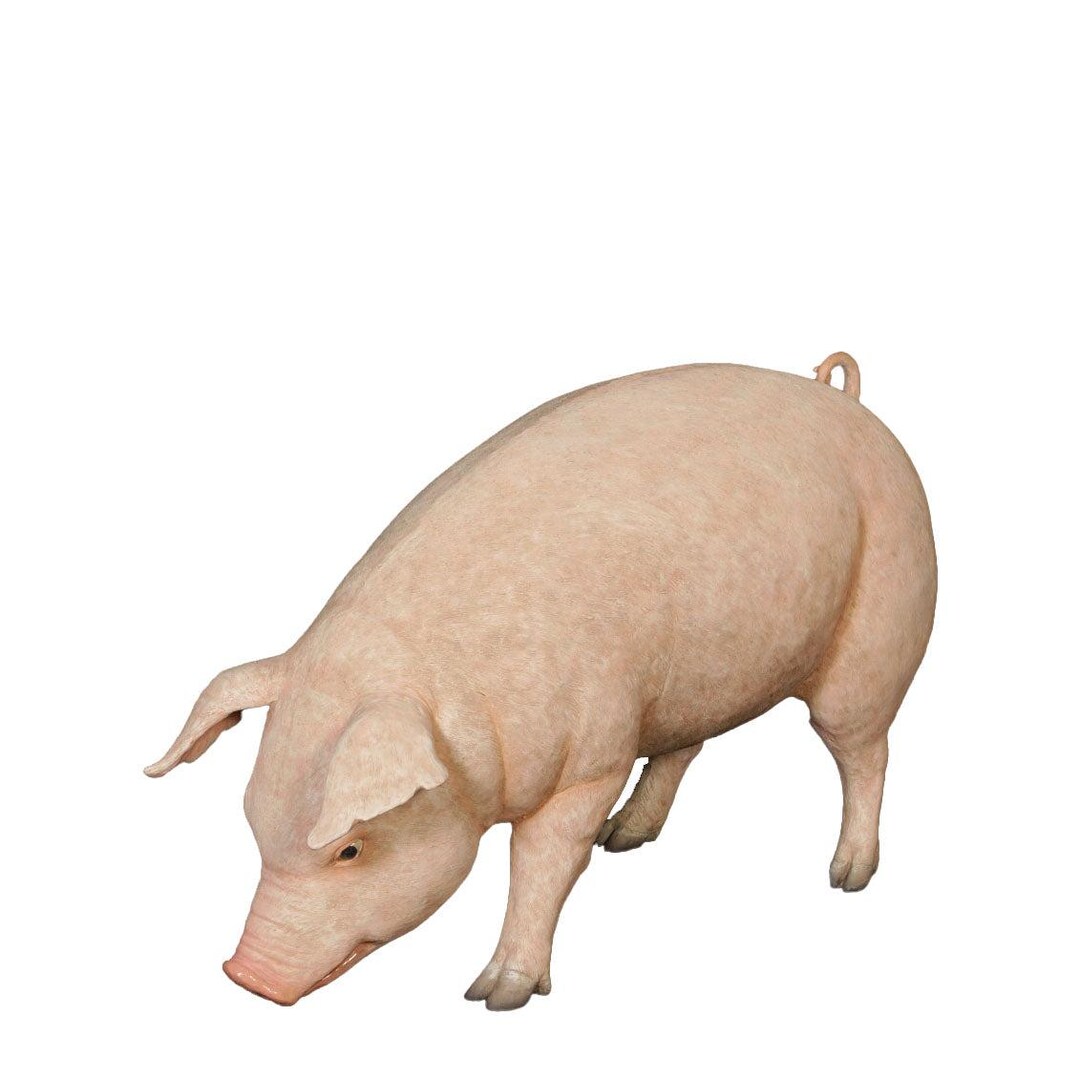 Fat Pig Standing Life Size Statue - Etsy