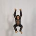 Monkey Chimpanzee Hanging on Rope Life Size Statue - Etsy