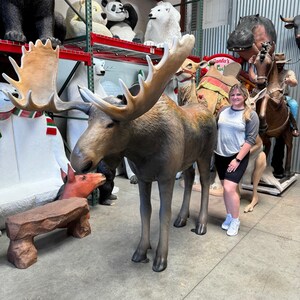 North American Moose Life Size Statue - Etsy