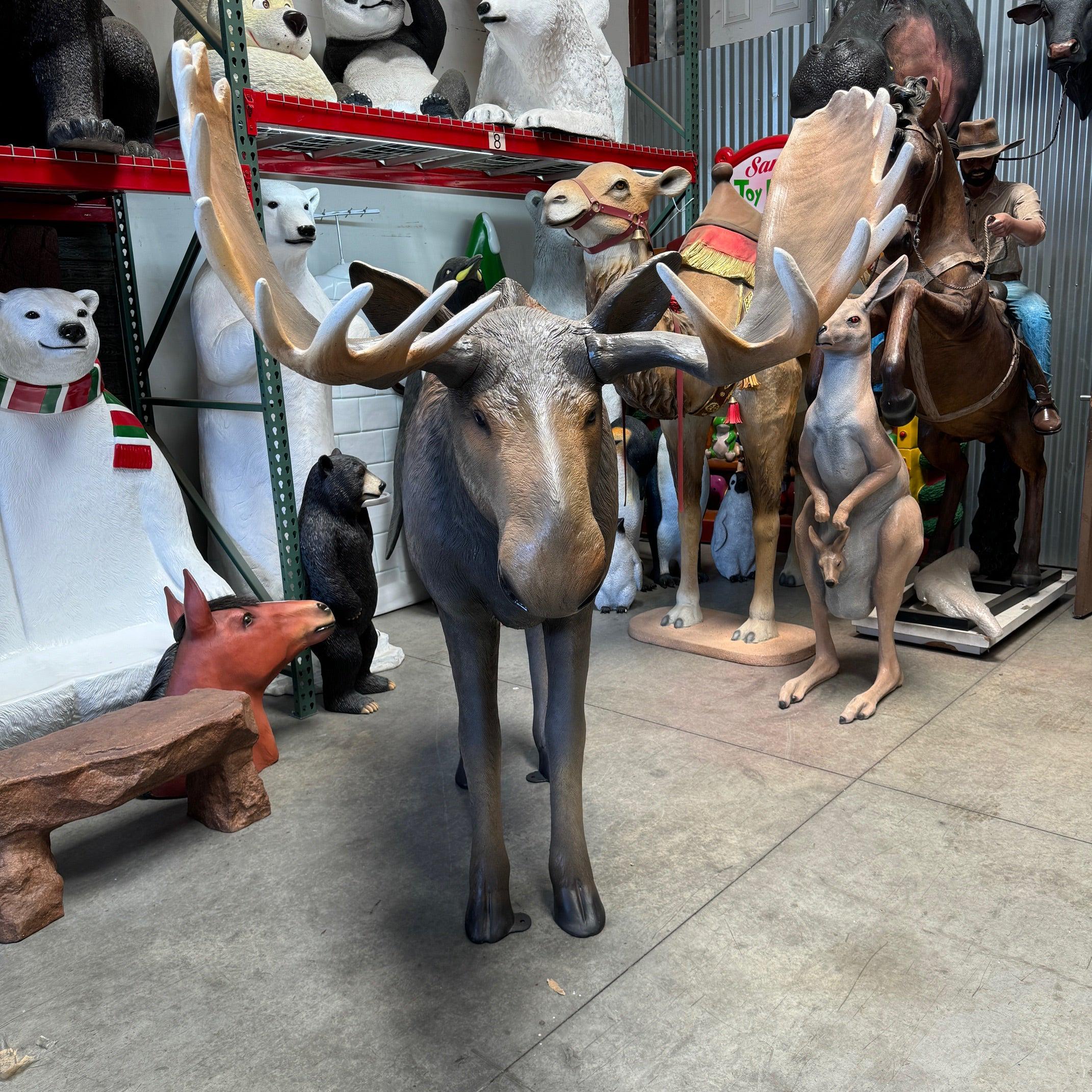 North American Moose Life Size Statue - Etsy