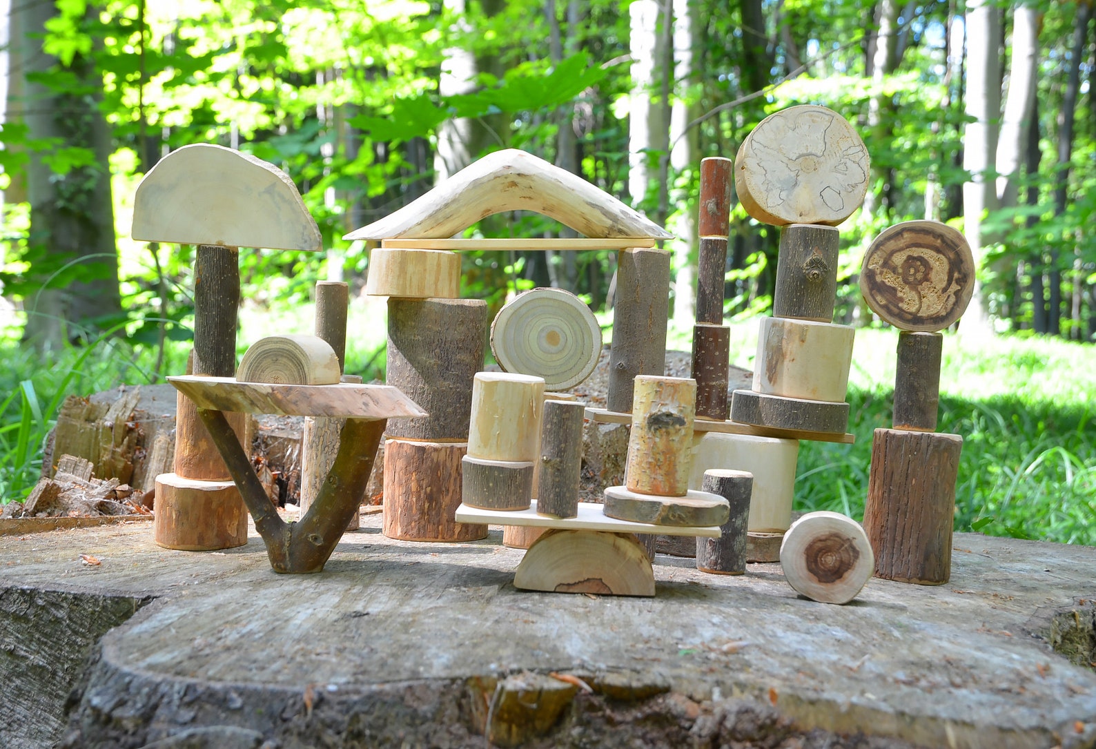 Natural Building Blocks 10 Types of Wood in One Tree Blocks - Etsy Canada
