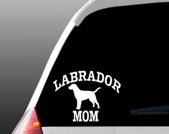 Lab Tested DC778SP1 High Quality Adhesive Vinyl Window - Etsy