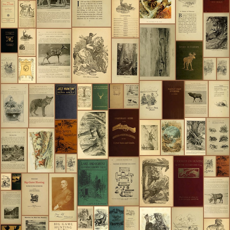 Antique Hunting Books - Etsy