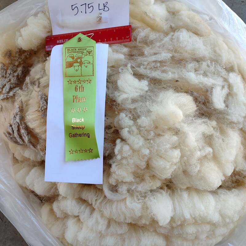 Cormo Fleece - Etsy