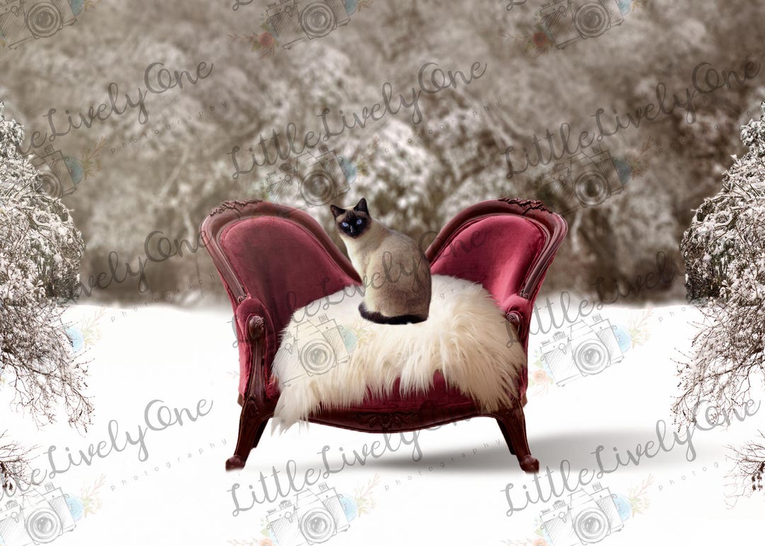 Baby Background, Baby Backdrop, Winter Scene, Winter Background, Winter ...