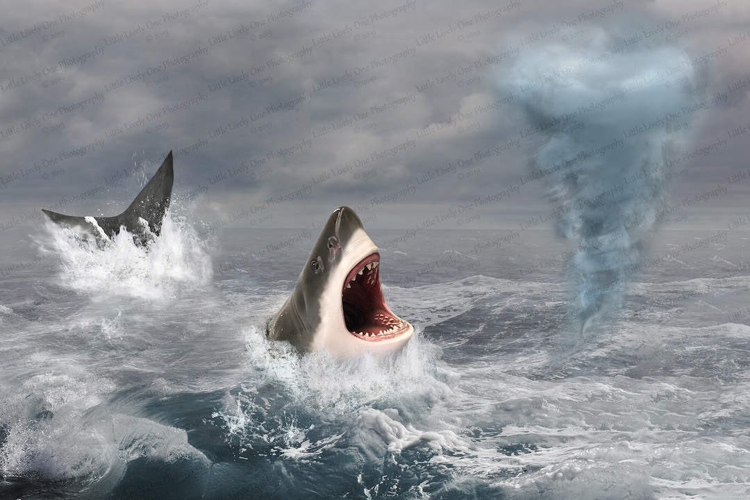 Rough Seas, Shark, Water, Ocean, Stormy Seas, Tornado, Water Spout ...