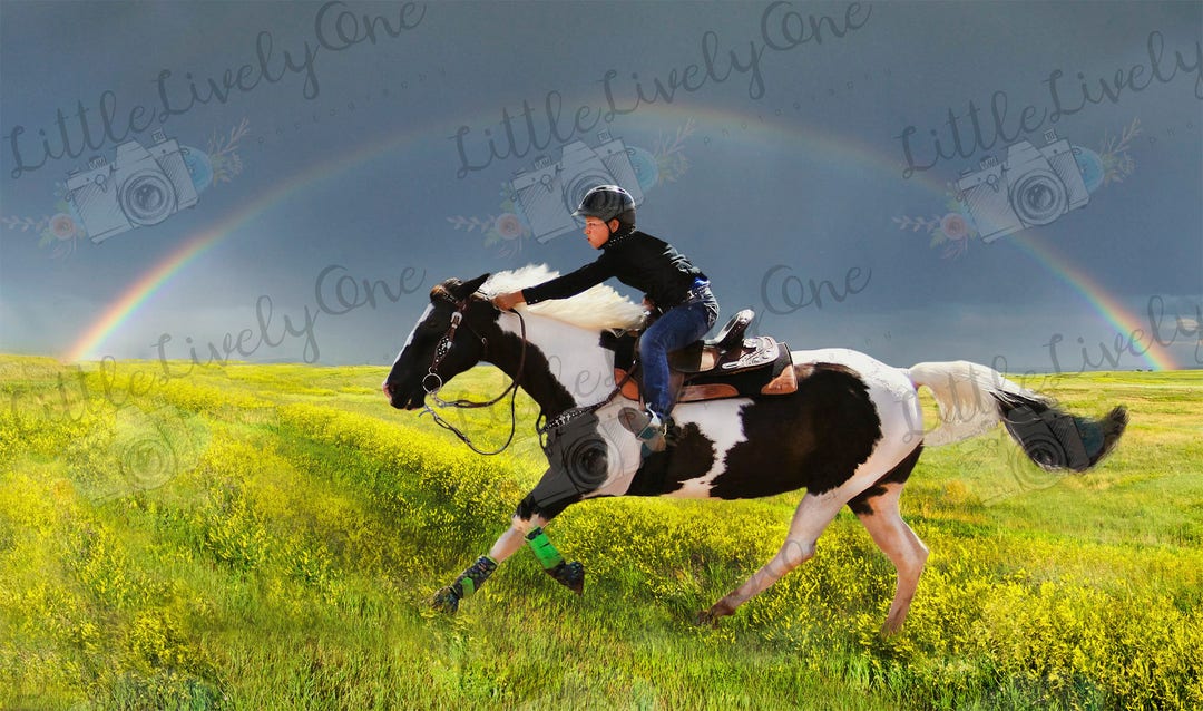 Rainbow Field * Field of Dreams * Rainbow Sky* Landscape Field * Summer ...