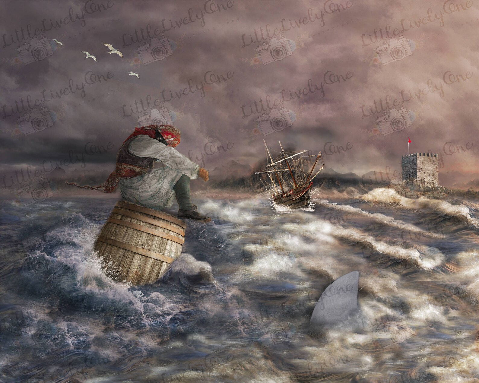 Pirate Background Pirate Ship Sea Life Backdrop Seagulls | Etsy