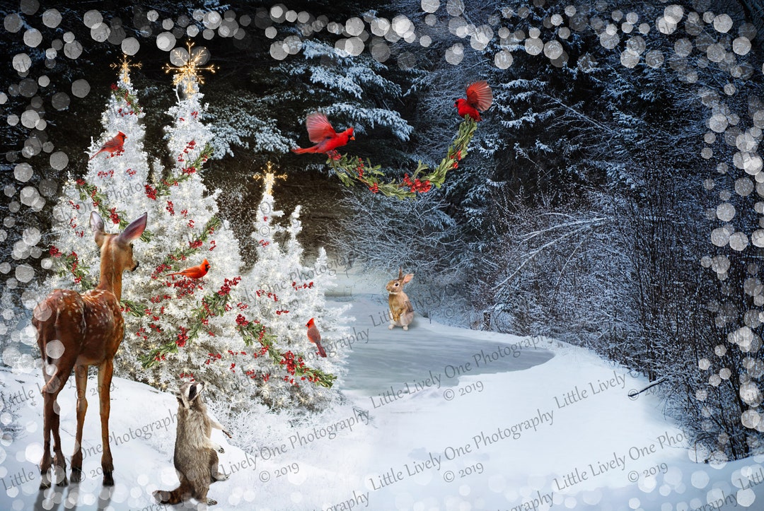 Winter snow background store