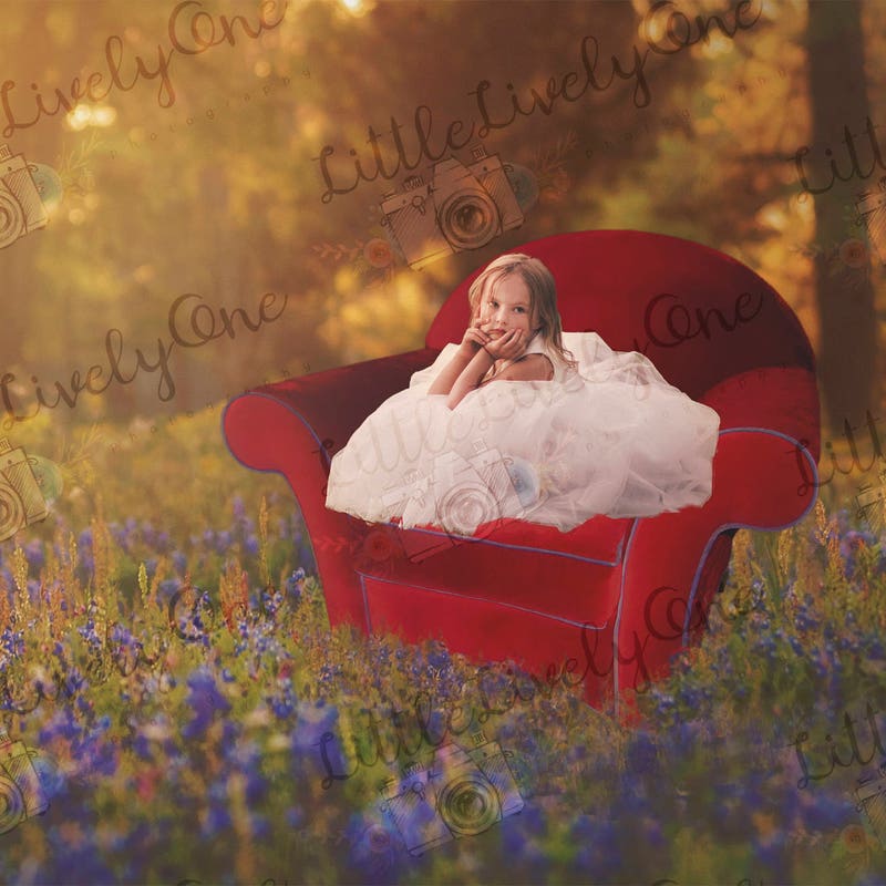 Furniture Overlays - Etsy