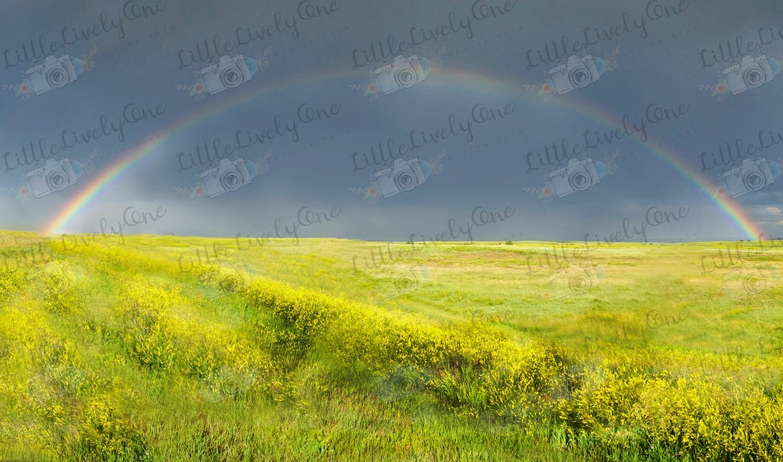 Rainbow Field Field of Dreams Rainbow Sky Landscape Field - Etsy