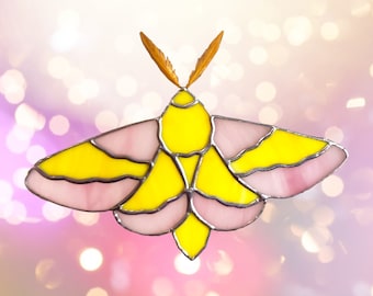 Rosy Maple Moth Stained Glass Pattern - Etsy
