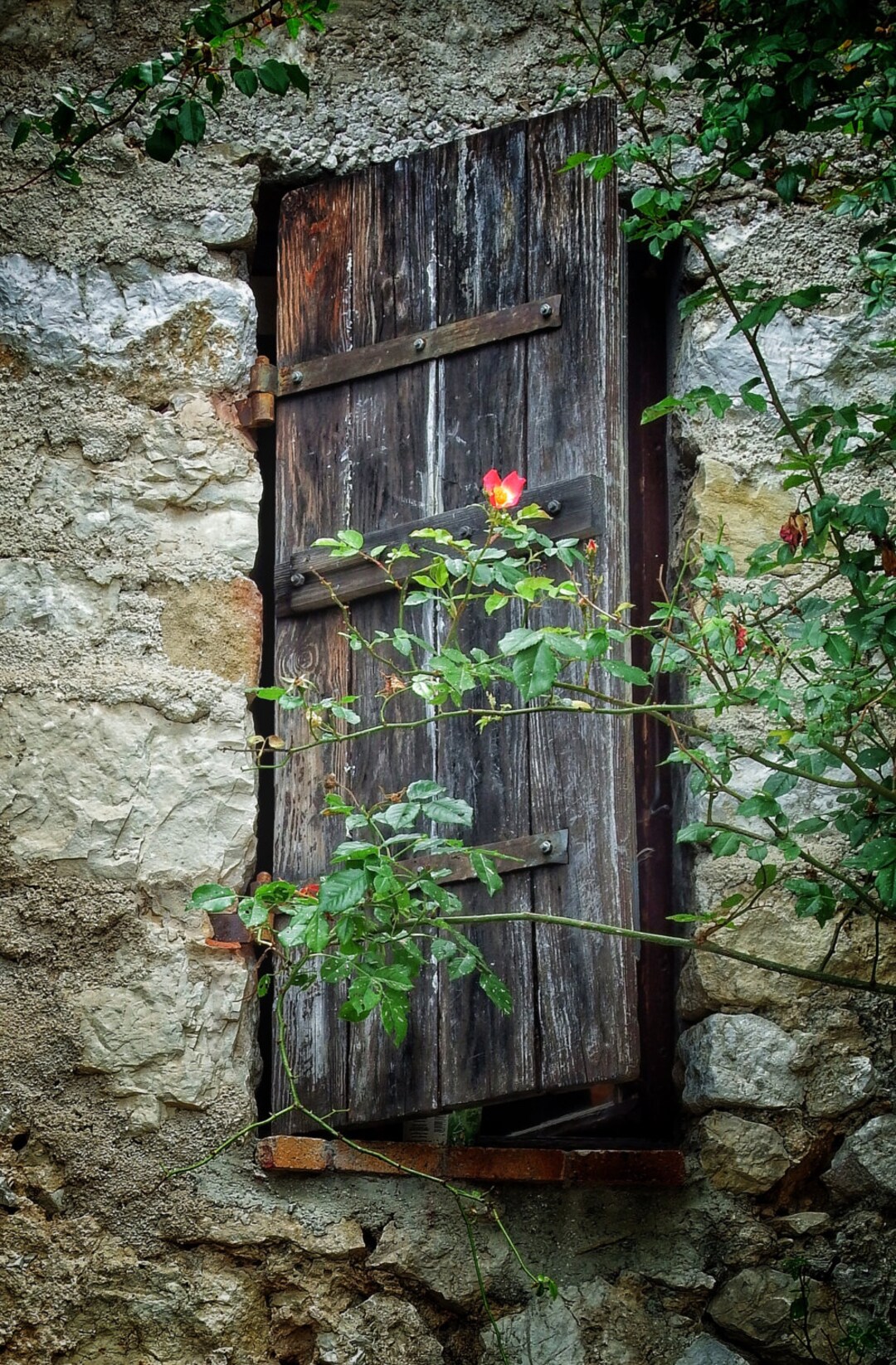 Window Art, Window Photography, Wall Art Prints, Fine Art Photography ...