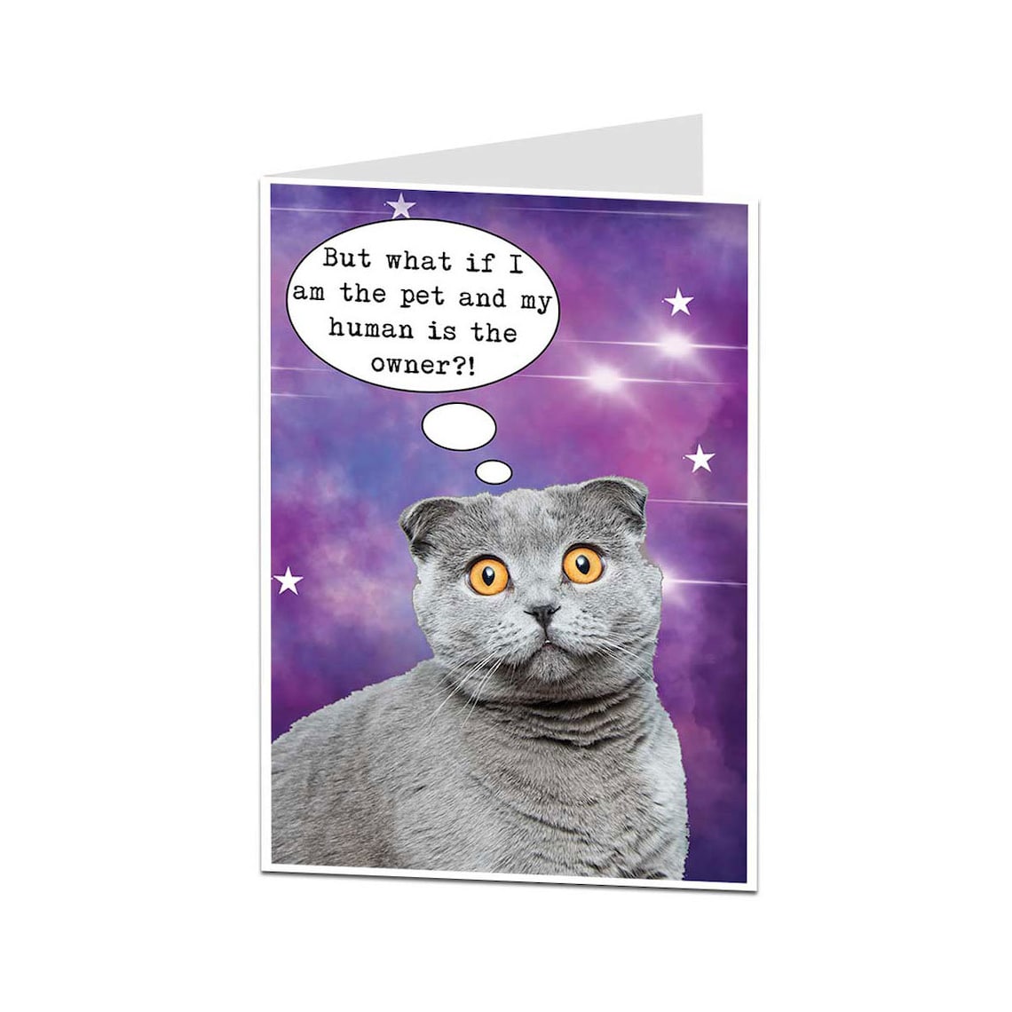 Funny Birthday Card. Cat Card. Birthday Card From Cat. Card - Etsy