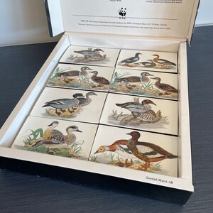 Vintage ‘the Ducks’ Matchbox Collection From WWF World Wildlife Fund - Etsy