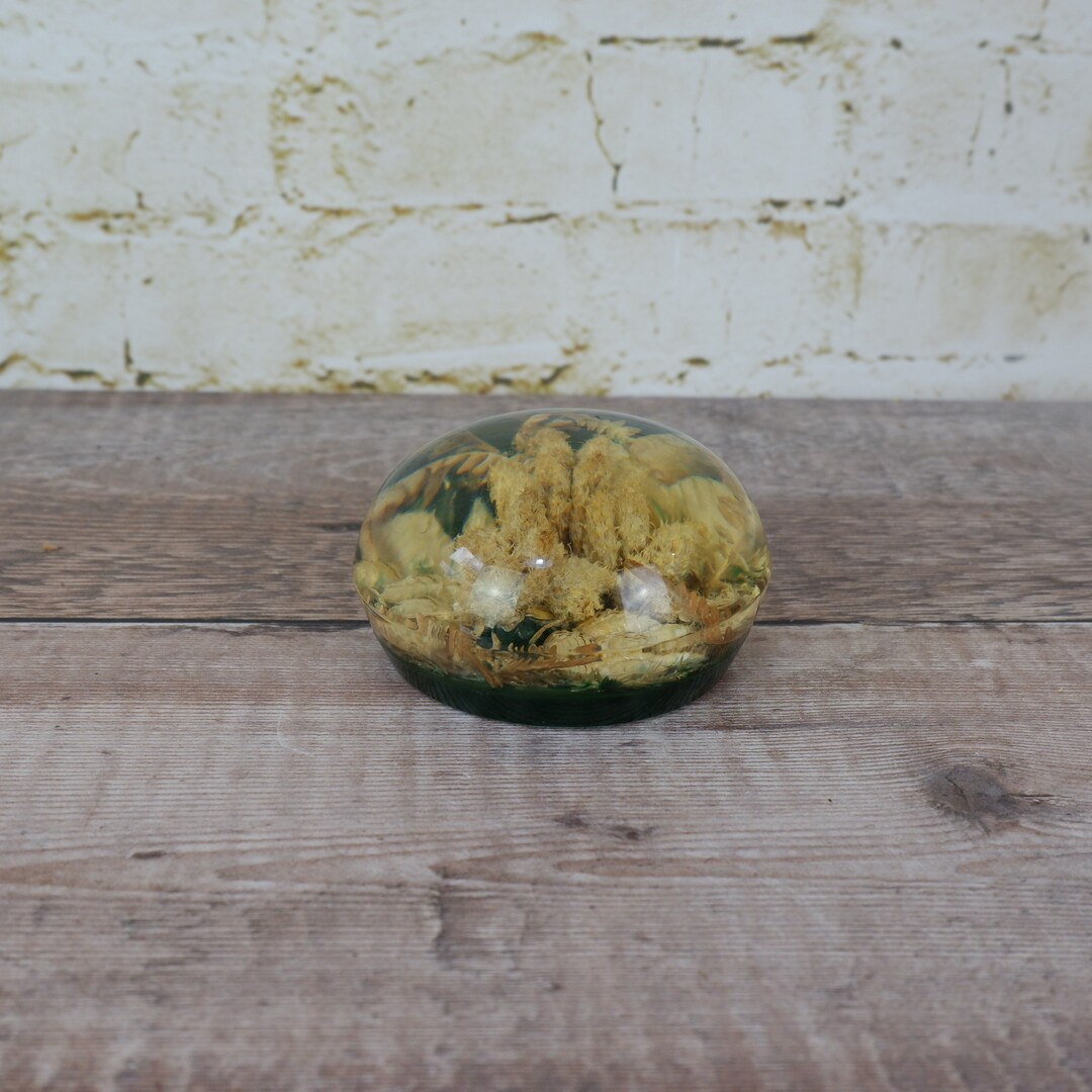 Vintage Lucite Dried Flower Paperweight - Etsy