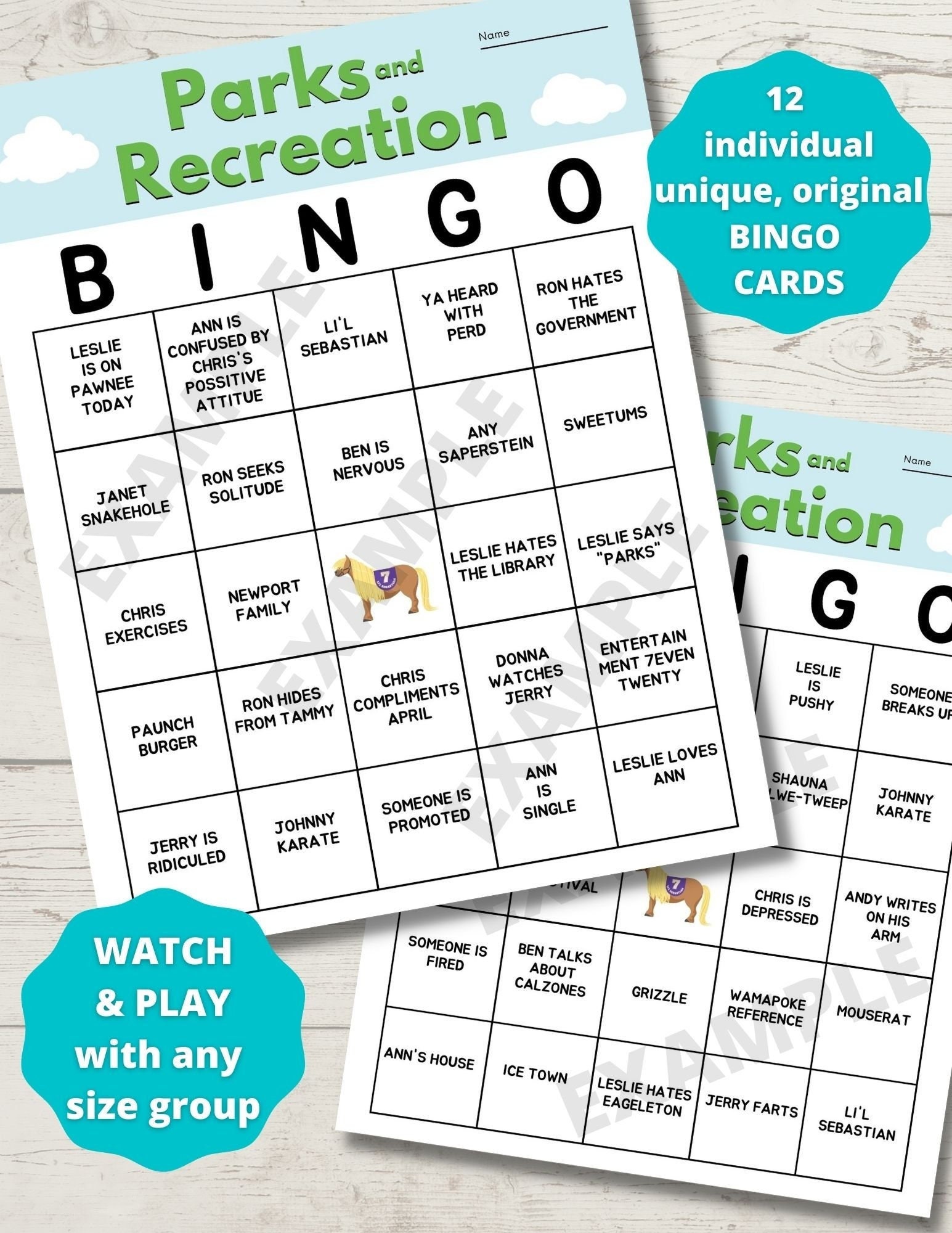 Parks and Recreation Bingo, (set of 12) DIGITAL Download, Printable ...