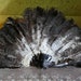 1900s Antique Fan, Victorian Fan - Etsy
