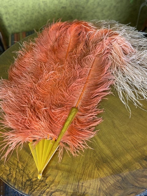 1920s Waterfall Fan, Antique Ostrich Feather Fan, Antique Fan, Flapper ...