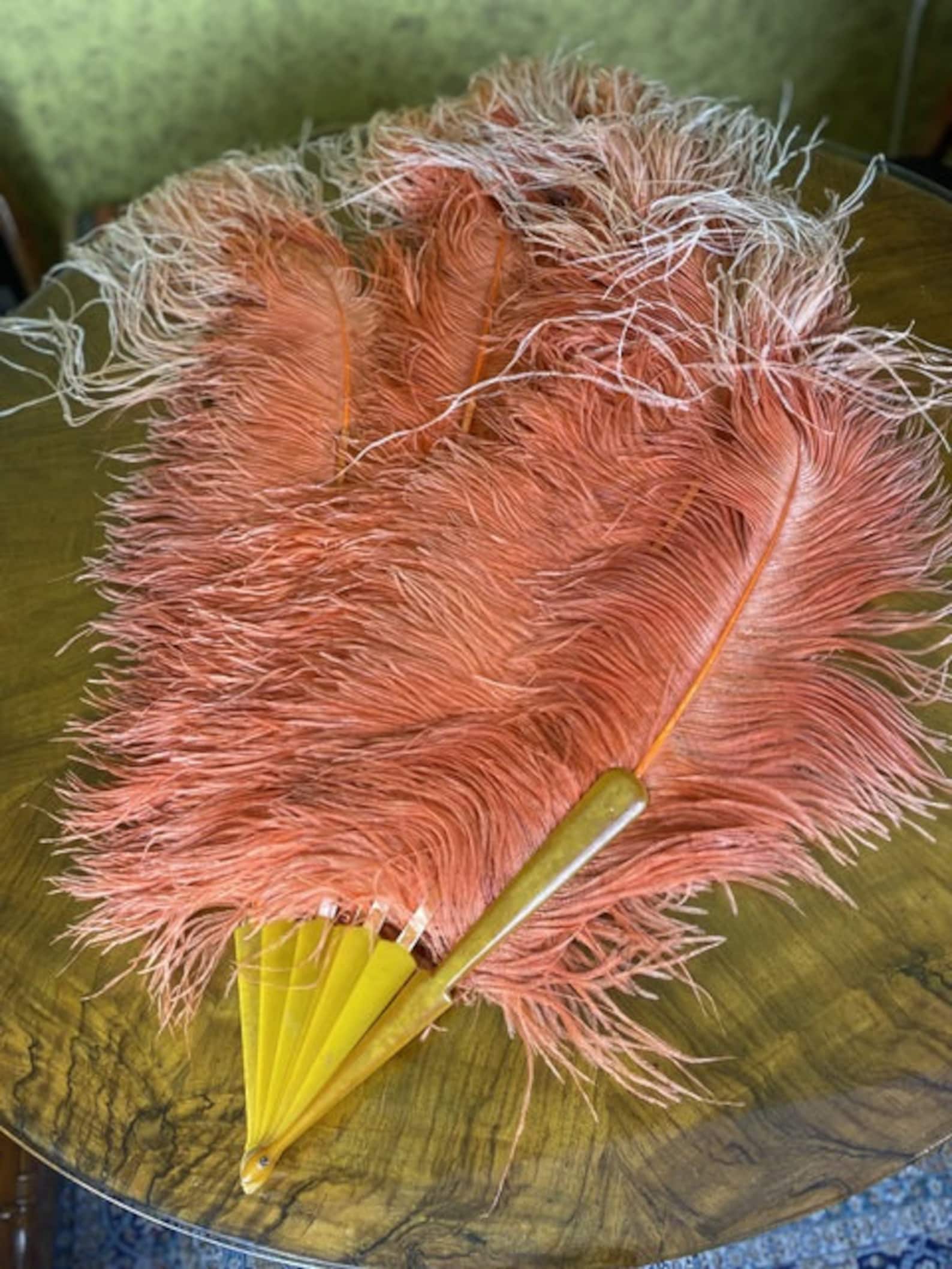 1920s Waterfall Fan, Antique Ostrich Feather Fan, Antique Fan, Flapper ...