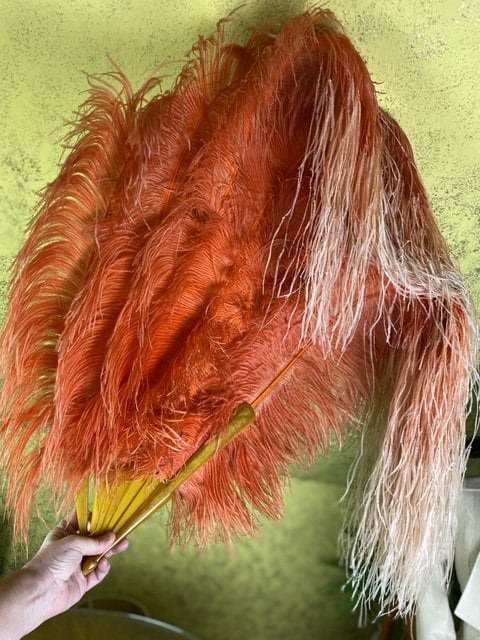 1920s Waterfall Fan, Antique Ostrich Feather Fan, Antique Fan, Flapper ...