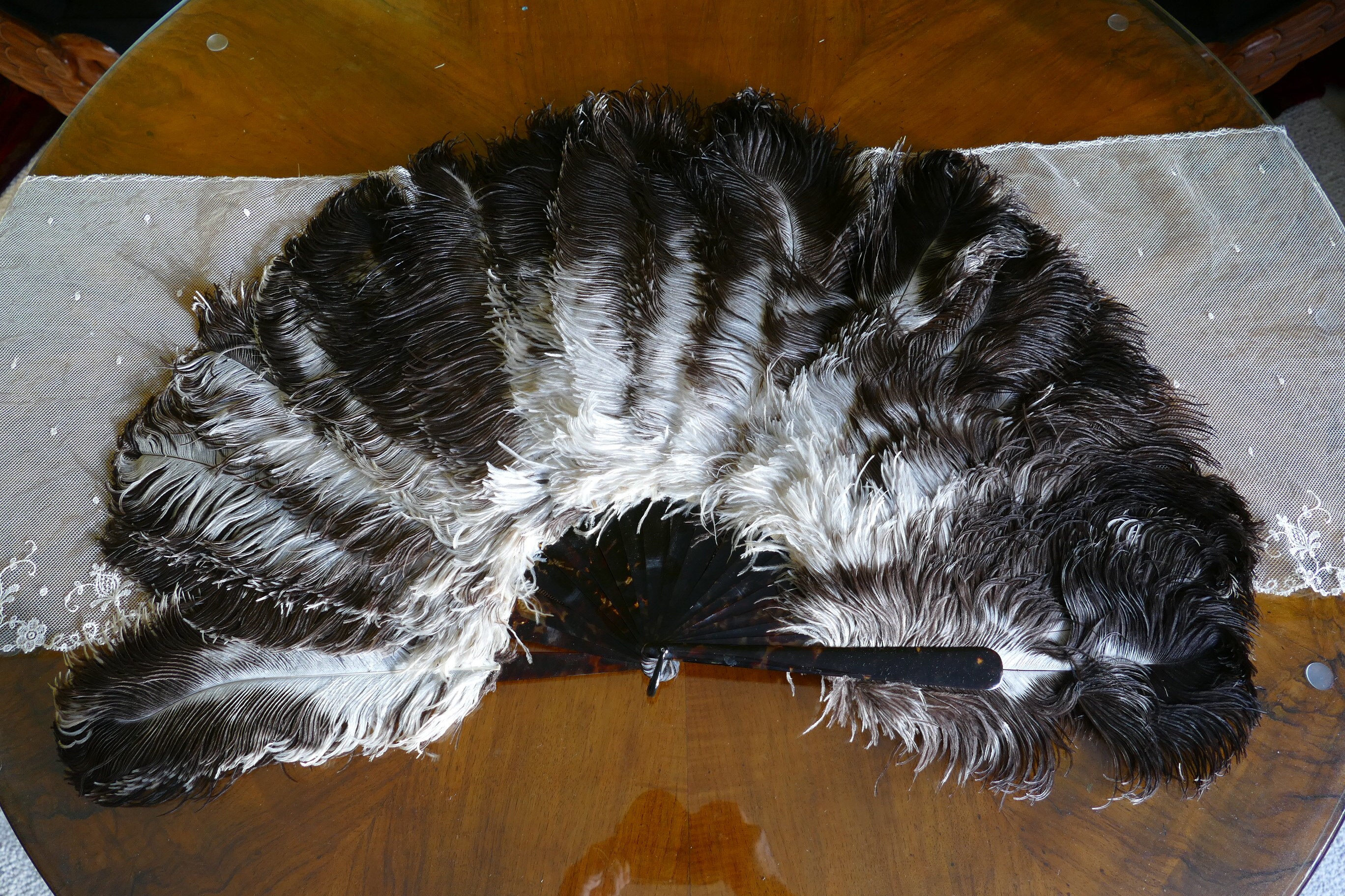 1900s Antique Fan, Victorian Fan - Etsy