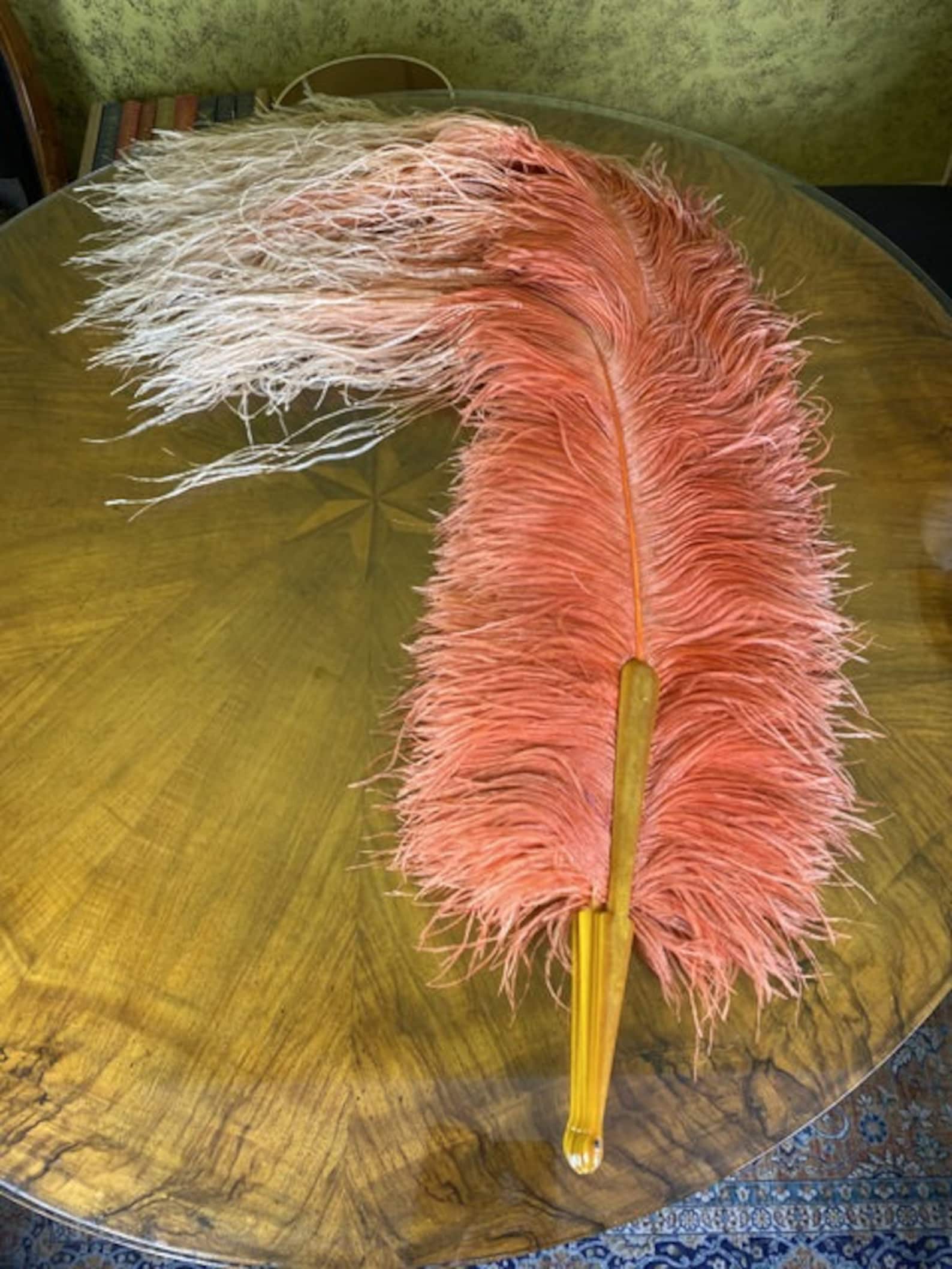 1920s Waterfall Fan, Antique Ostrich Feather Fan, Antique Fan, Flapper ...