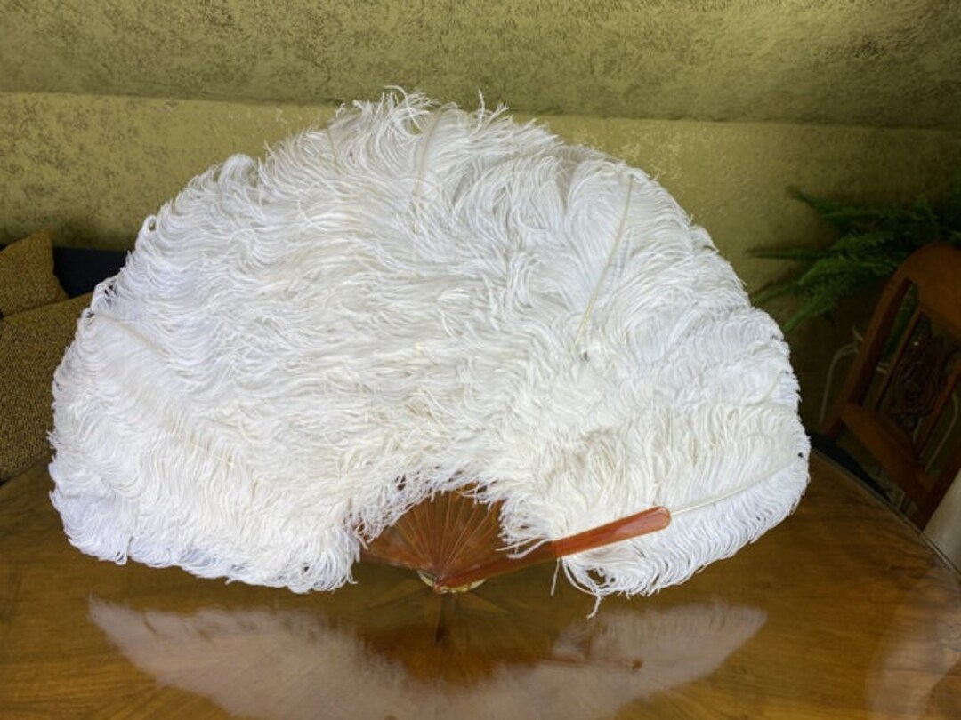 1900 Wedding Feather Fan, Antique Fan, Victorian Fan, Edwardian Fan ...