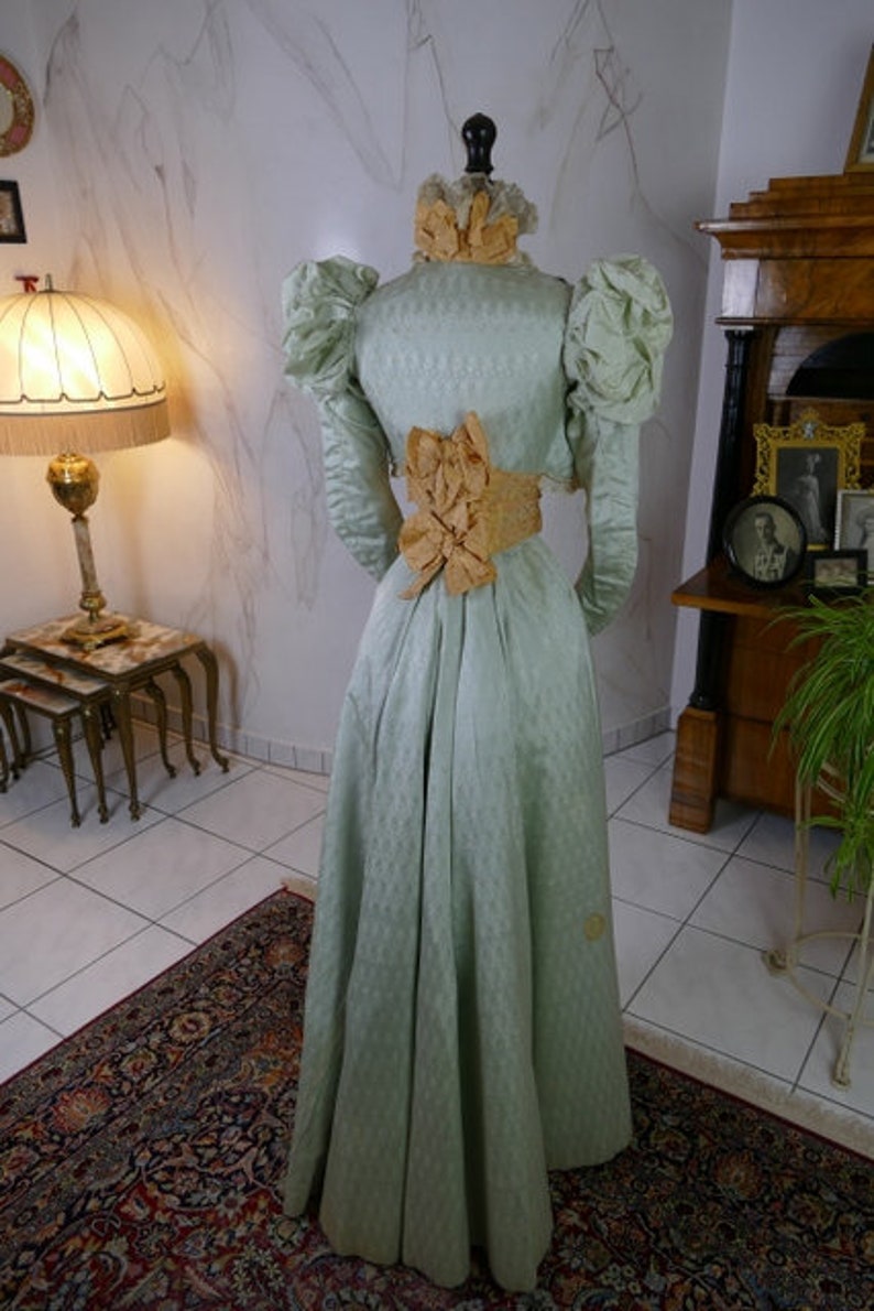 1898 MARIE ROBEL Promenade Gown, Dresden, Antique Dress, Antique Gown ...