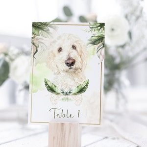 Tropical Wedding | Table Numbers, With Your Pet Illustration, Wedding ...