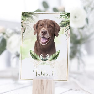 Tropical Wedding | Table Numbers, With Your Pet Illustration, Wedding ...