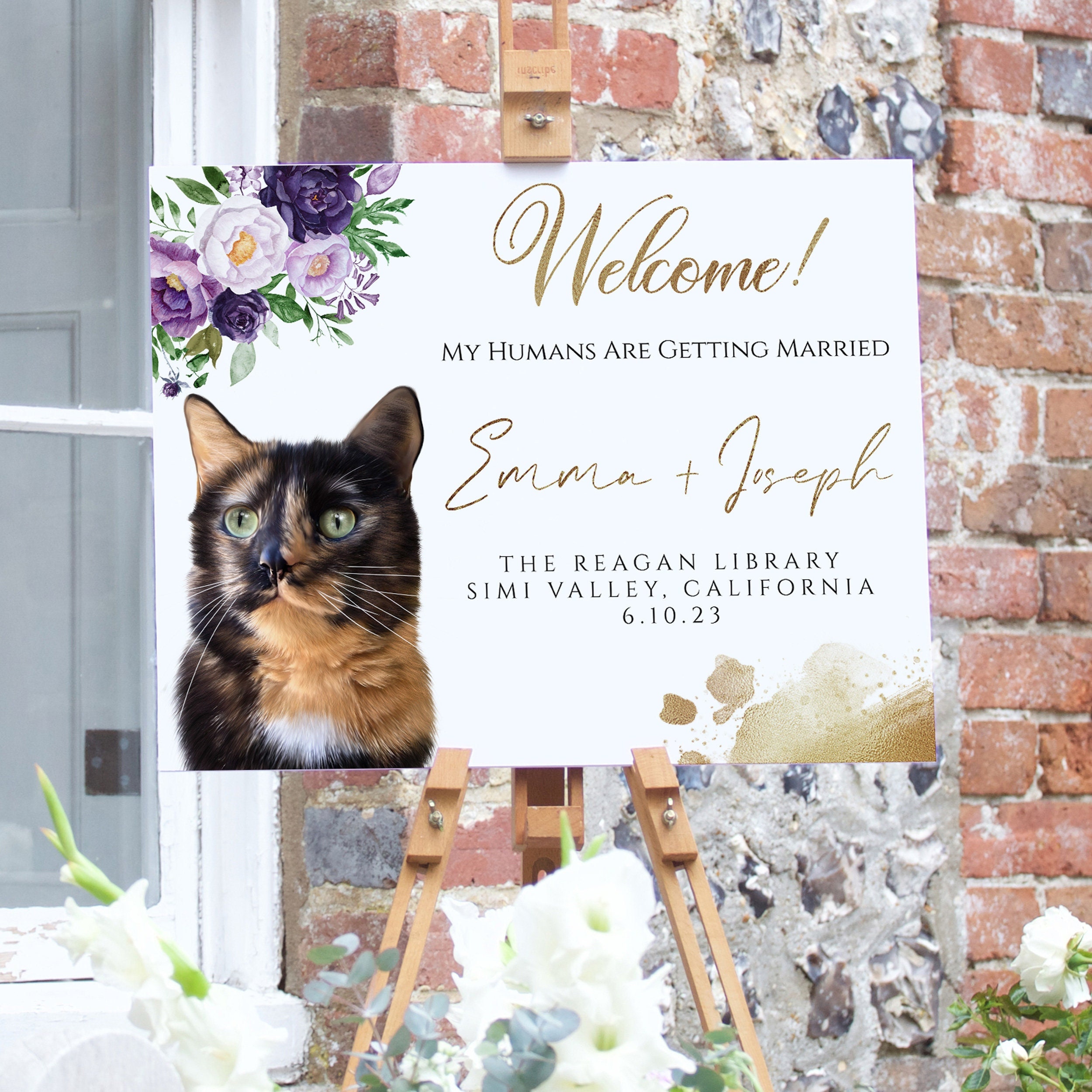 Real Cats Getting Married