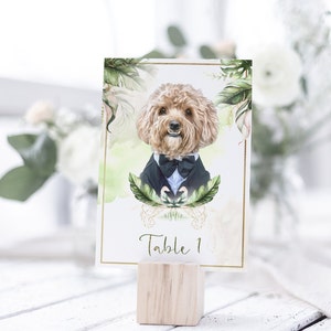 Tropical Wedding | Table Numbers, With Your Pet Illustration, Wedding ...