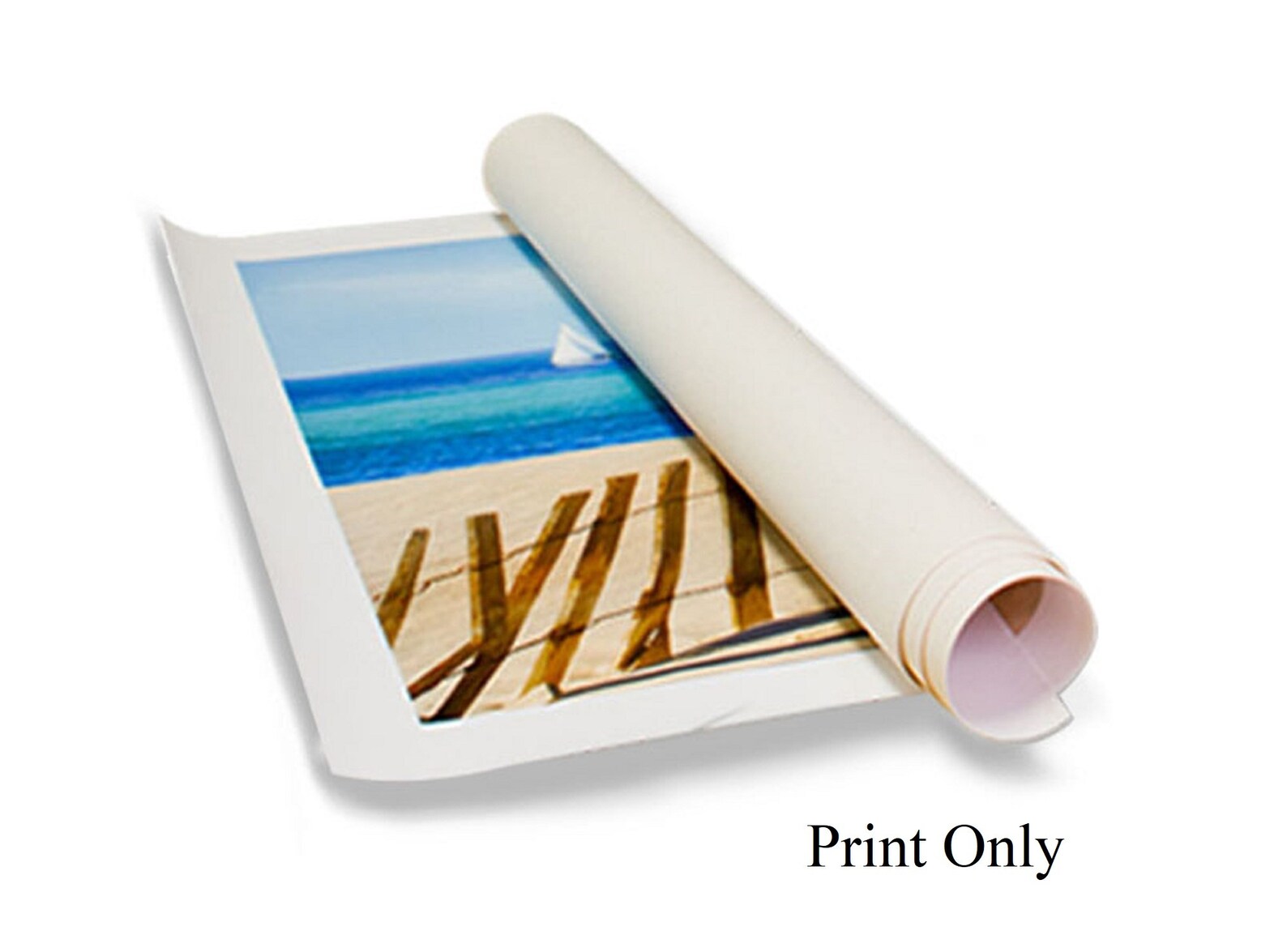 The Quintessence of Life Florida Wall Decor, Art Print, Landscape ...