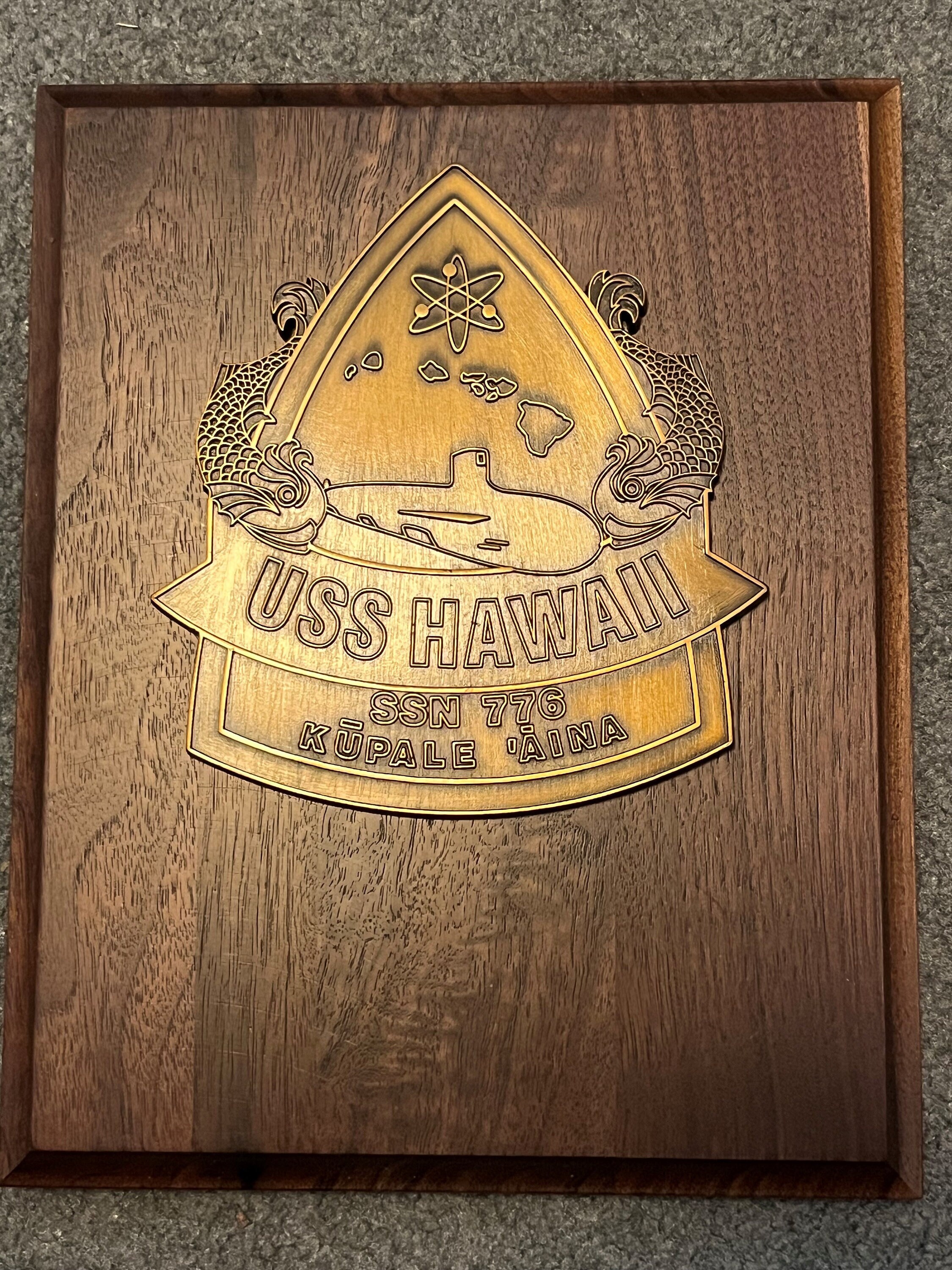 USS Hawaii Submarine SSN 776 Brass Plaque - Etsy