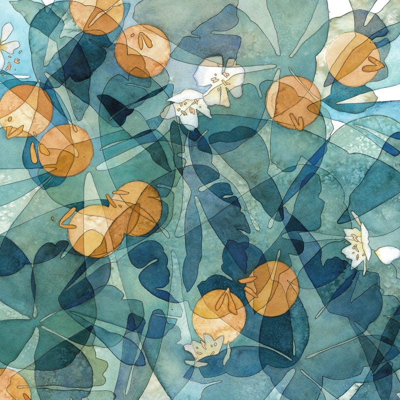 Firefly Artwork - Etsy