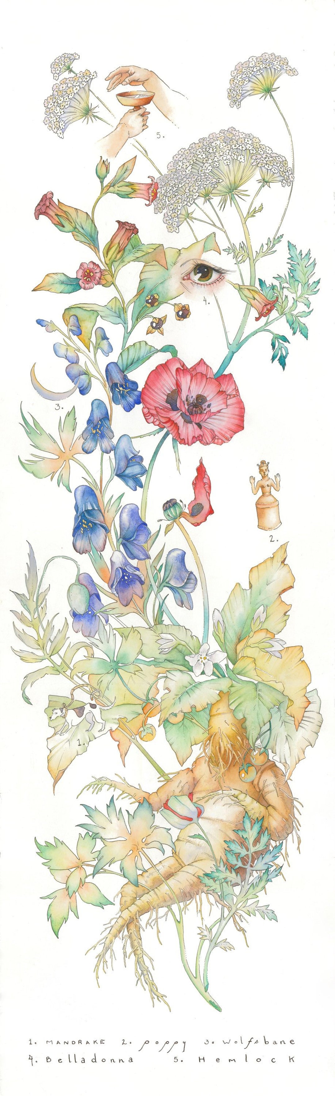 Witch’s Bouquet, Herbalism Print, Witchy Botanical Print, Wise Woman ...