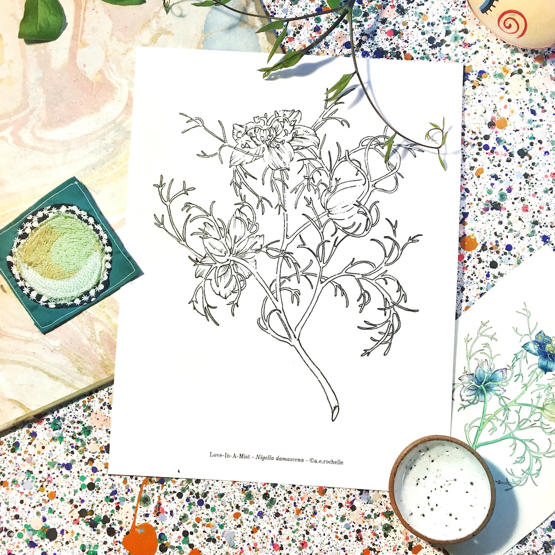 Love-in-a-mist Coloring Page, Botanical Coloring Page PDF, Coloring ...